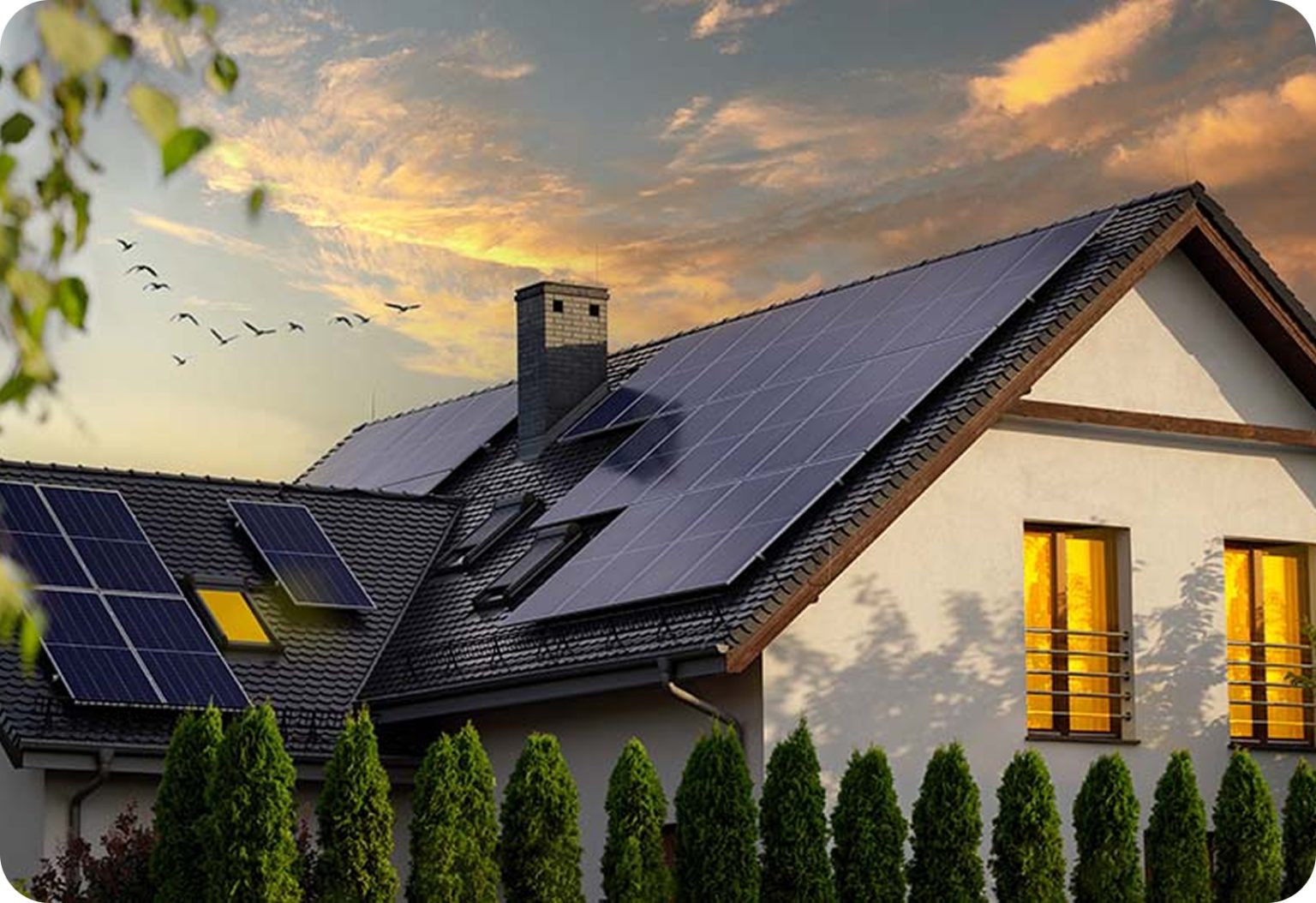 Official Octopus Trusted Partner - A Greener Alternative | Renewable ...